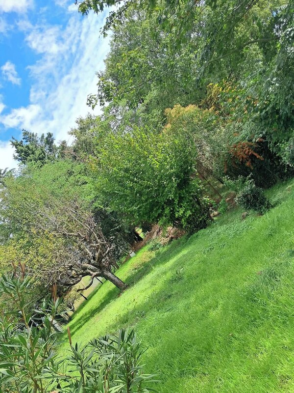 Gîte « Lo Pitchoun » Au Cœur De La Nature, Avec Jacuzzi - Gaillac