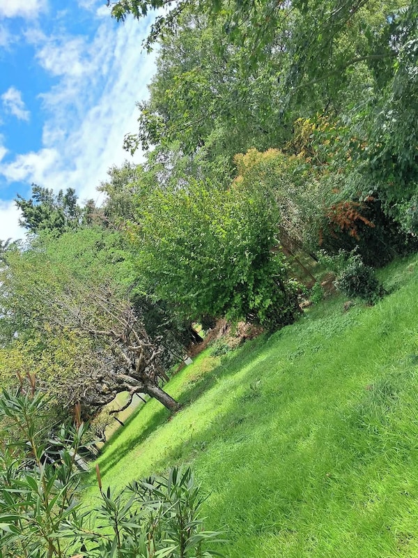 Gîte « Lo Pitchoun » Au Cœur De La Nature, Avec Jacuzzi - Gaillac