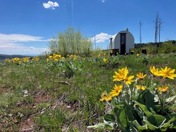 Hand-crafted Sheep Wagon ~ Luxuriously Rustic ~ Private Meadow Site - Wyoming