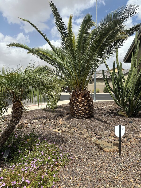 Spacious 4-bedroom House With Wifi, Ac In Fabulous Mesa - 아파치 융티온