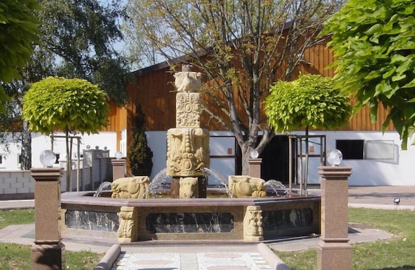 Modern Vacation Apartment On An Idyllic Stud Farm With Pool - Pure Nature, Dogs Allowed - Kehl