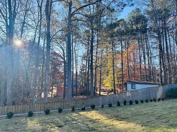 Private, Huge Walk-out Basement, Great Location - Alpharetta, GA