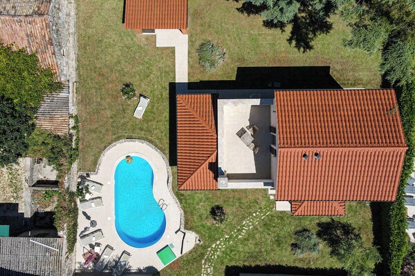 Vila Orhidea  Udobnost, Funkcionalnost I Mir U Istarskom Stilu - Poreč