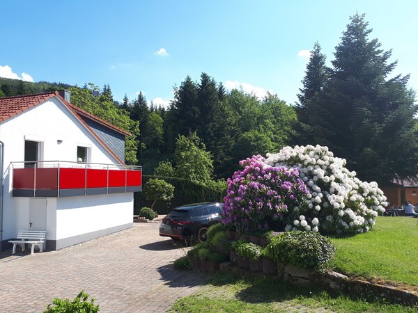 Ferienwohnung 'Auszeit Am Wildkatzenpfad' Mit Bergblick, Privater Terrasse Und Wi-fi - Bad Herrenalb