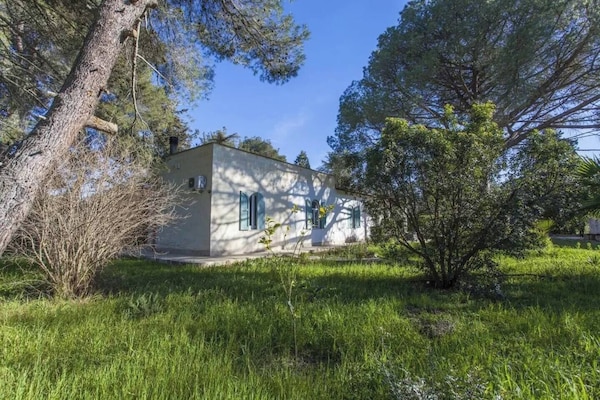 Villa Cardinale  In Salento With Pinewood And Swimming Pool. Puglia. - Manduria