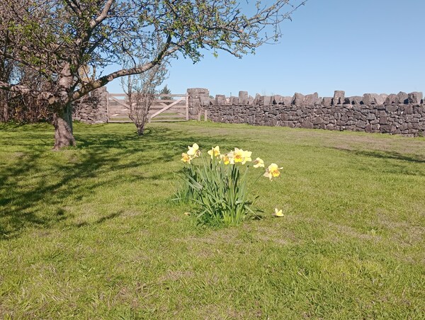 Sunnyside Farm - Grange-over-Sands