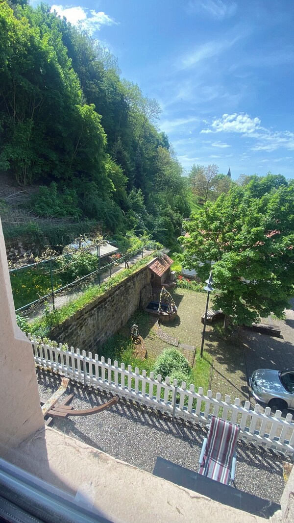 Spacious Vacation Apartment In Falkenstein - In The Middle Of The Donnersbergkreis Hiking Region - Kirchheimbolanden