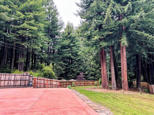 Arcata Forest Hideaway - Arcata, CA