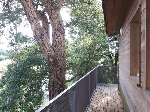 Capbreton. House Between Beach And Forest. Large Garden With Trees. 2 Bedrooms. 6 P. - Seignosse