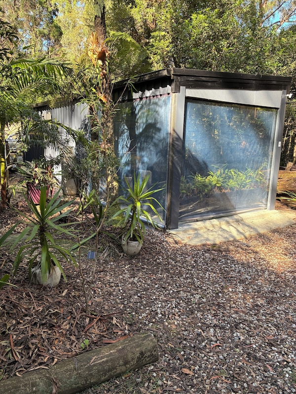 Springbrook Canyon Cabin - Beechmont