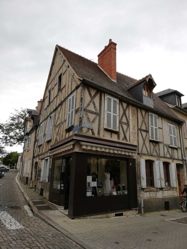 Aux 3 Maillets 2. Très Bel Appartement Dans Une Maison Du Xviè. - Bourges