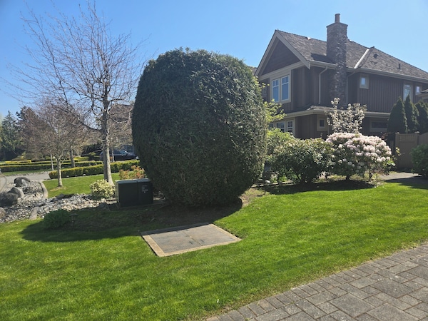 Sylvan Grove  Estate - Surrey