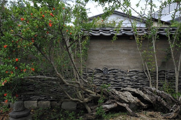 A Rental House With Natural Materials And Art 126 / Tsukuba Ibaraki - Tsukuba