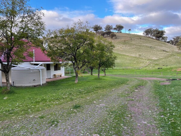 Working Merino Farm Stays In Horrocks Pass, Flinders Ranges - Wilmington