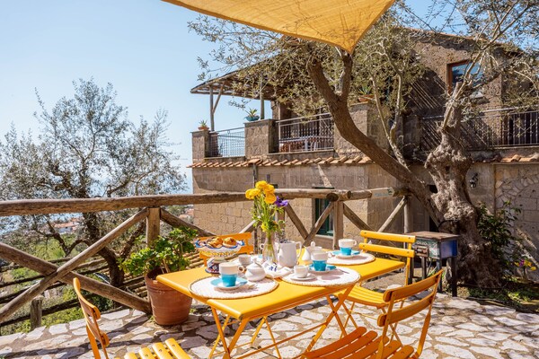 Casa Punta Licosa In The Peace And Greenary - Vico Equense