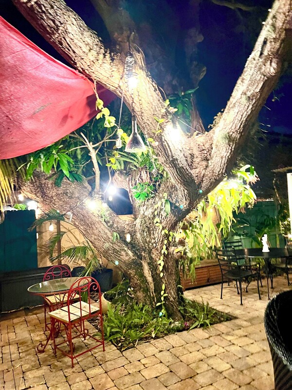 The Artists Studio With Jacuzzi In Central West Palm Beach - West Palm Beach, FL