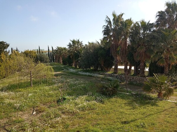 Appartement Platon  Escapade Dans Le Jardin à Kos - Kos
