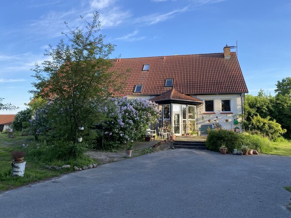 Appartement 'Salvador Dalí' Met Privéterras, Gedeelde Tuin En Wi-fi - Feldberger Seenlandschaft