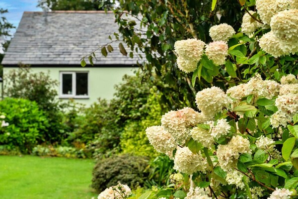 Cornish Barn With Garden In Cornwall, No Deposit - Cornwall