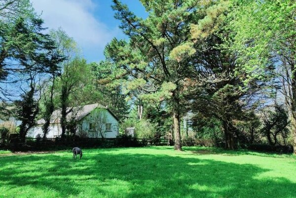 Pine Croft Cottage - Sleeps 4, Tucked Away In The Woodland, 5 Minutes From Beach - Newquay