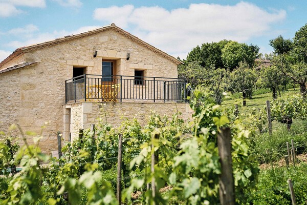Domaine Baudon, Situé Au Cœur Des Vignes - Saint-Émilion
