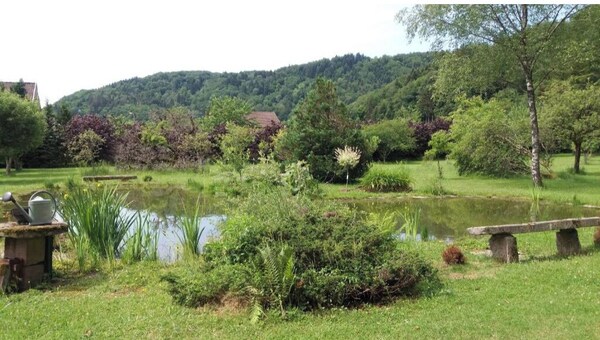 Pied Des Milles Etang - Les Capucins - Département Haute-Saône