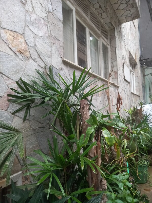 Descubra O Charme De Se Hospedar Na Casa 11, No Coração Do Leme/copacabana!!! - Copacabana