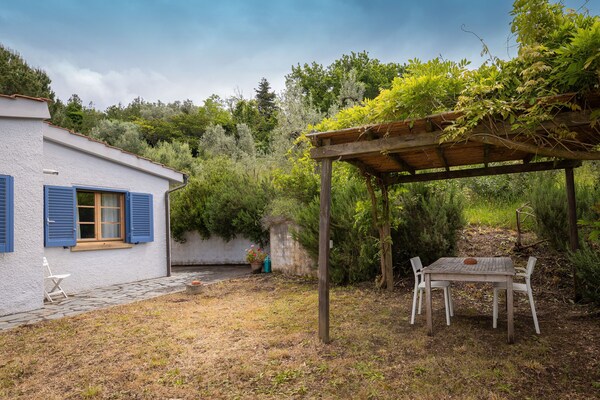 Vakantiehuis 'Casa Pendolino' Met Privétuin En Airconditioning - Cecina