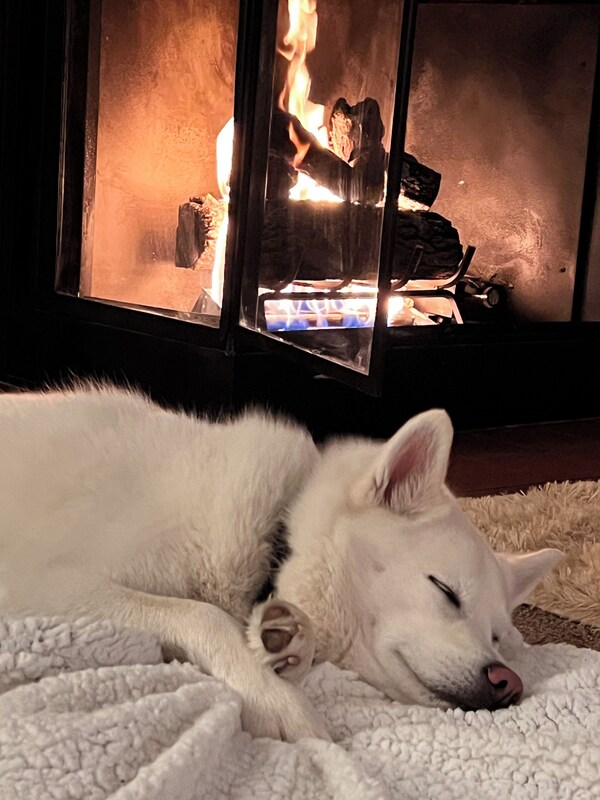 Copper Ski Mountain East Village, Pet Friendly, Views Of Sky Chutes, Off I-70 - Summit County, CO