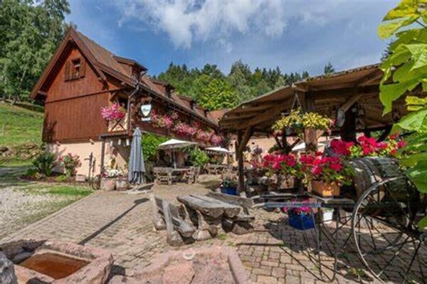Avalon Iii: Appartement Neuf, Vues Exceptionnelles Et Proche Villages Classés - Thannenkirch