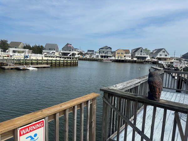 Charming 2-bedroom House With Wifi, Ac In Nice Little Egg Harbor Township. - Beach Haven, NJ
