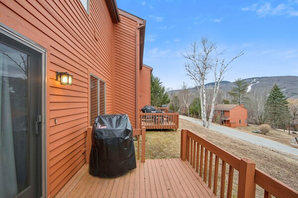 New! Tahawus 74i - A Cozy Adirondack Retreat - Gore Mountain