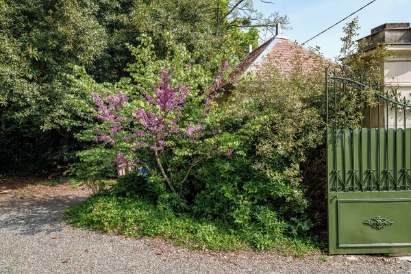 Spacious 4-bedroom House For 10 Guests In Bourgueil, Near Vineyards - Bourgueil