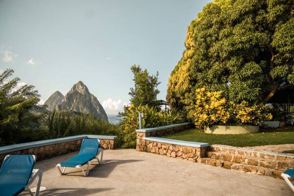 The Fern Grotto - Saint Lucia