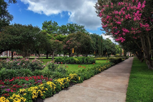 Budget Stay At Knights Inn Franklin Ave Waco! Parking, Pets Allowed! - Waco, TX