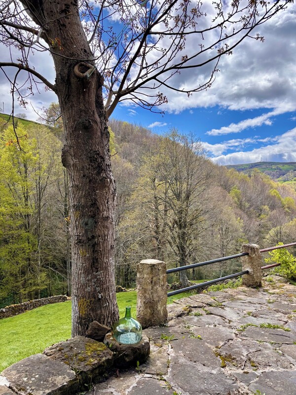 Cabaña Pasiega Lo Macario, Con Vistas Al Bosque - Cantabria