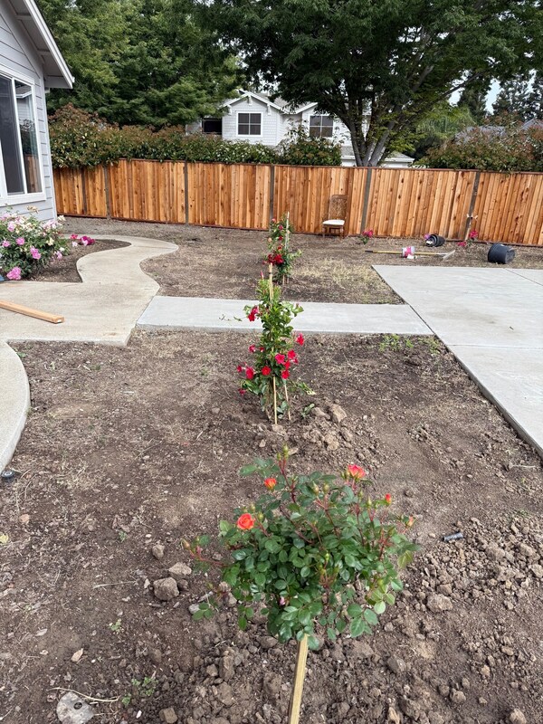 Spacious 5-bedroom House In Charming Tracy With Ac, Wifi - Jeffrey Brown, Tracy