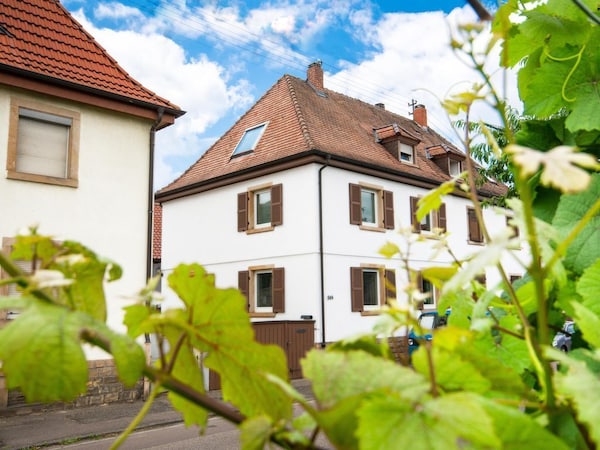 Vacation Home Weinstraße 304 - Holiday Home Under Hambach Castle - Deidesheim