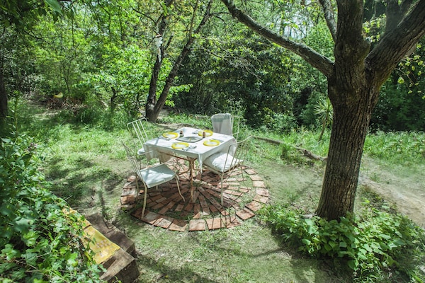 Terre Libre 1&2, Maison De Campagne Avec Son Cabanon, Rivière, Piscine Hors Sol - Var