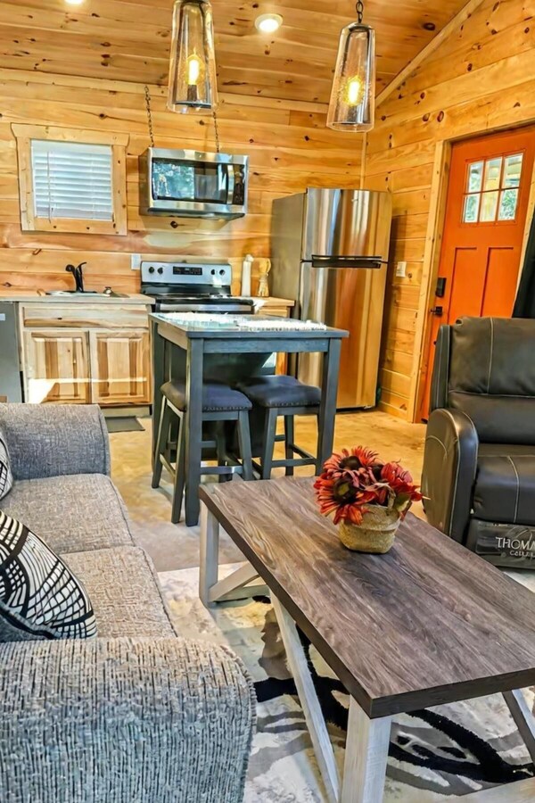 Perfect For 2  Brandnew  Hottub  Kingbed  Freedollywoodtkt (Traveler's Rest) - Cosby, TN
