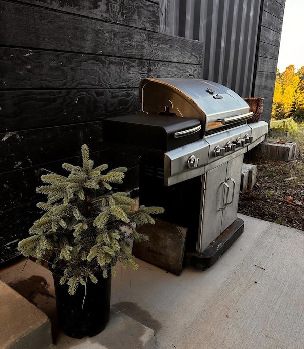 Charming Cabin In Olympia With Ac - Perfect For A Peaceful Getaway - Lucky Eagle Casino & Hotel