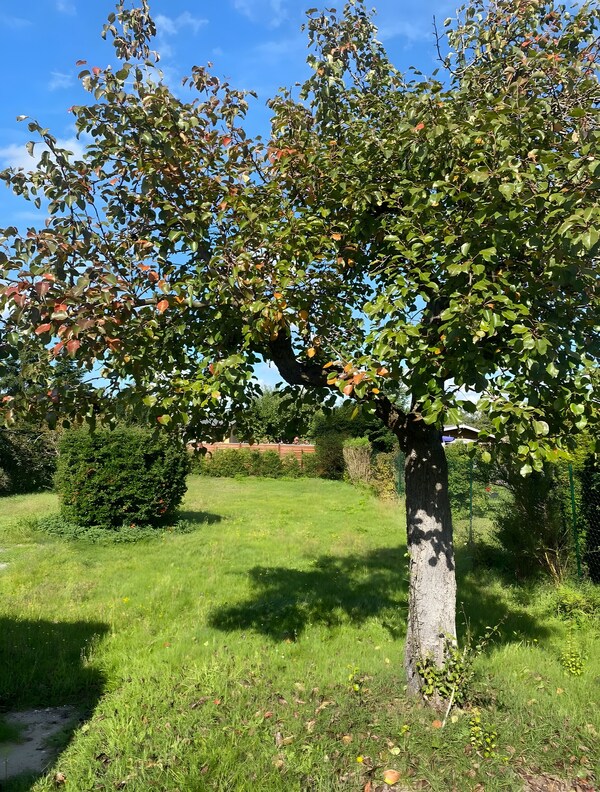 Ferienhaus 'Dahlienhof' Mit Privatem Garten Und Wi-fi - Perleberg