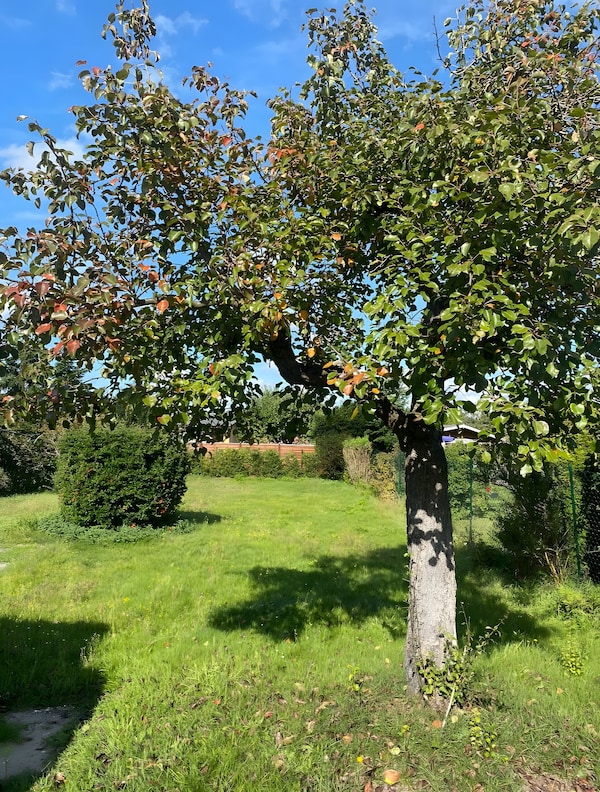 Ferienhaus 'Dahlienhof' Mit Privatem Garten Und Wi-fi - Bad Wilsnack