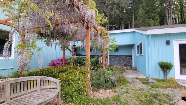 Charming 4 Bdrm Lake House + Huge Ganes Room + - Lake Cavanaugh, WA