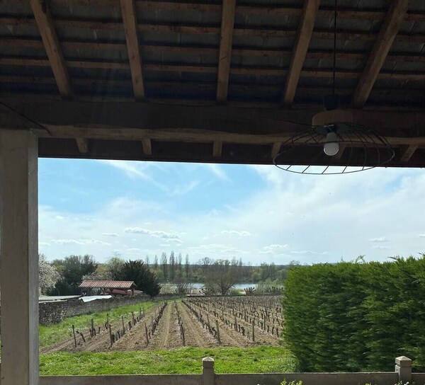 L'espérance Overlooking The Loire And Vineyards 2 - Sancerre