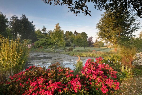 Cottage In Cotswolds With Private Pool Access - Kingham
