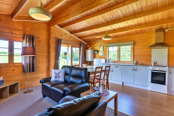 Spacious Holiday Home In Okehampton, No Deposit - Dartmoor Forest
