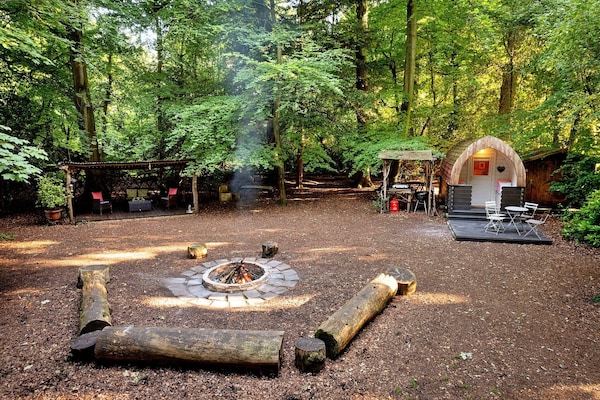 Woodlang Glamping Near Newbury, No Deposit - Highclere