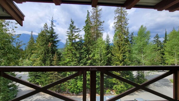 Whistler - Horstman House - 1 Bedroom #311 - 英屬哥倫比亞