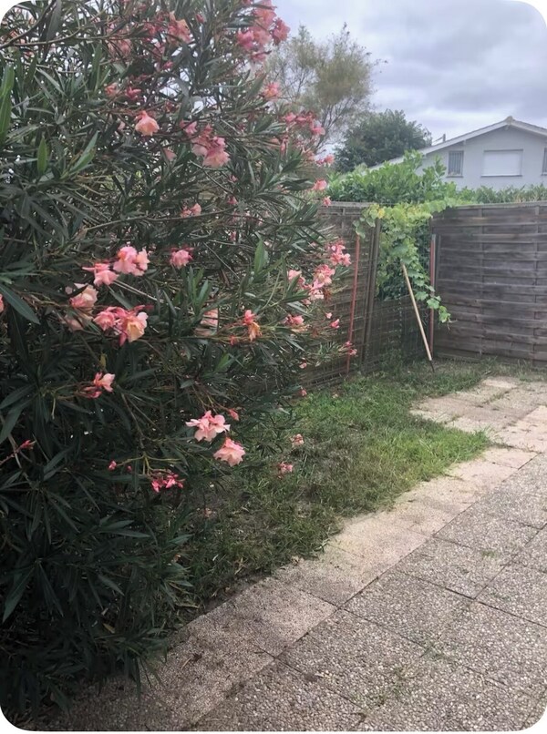T3 : Charmant Petit Nid Douillet + Jardin Privatif 80m2 - Mérignac